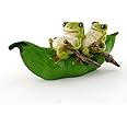 Amazon.com : Top Collection Miniature Garden Frogs Rowing Peapod Boat ...