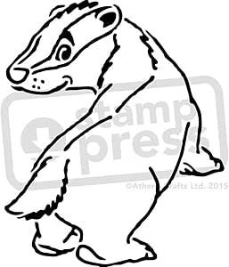 Amazon.com: A3 'Baby Badger' Wall Stencil / Template (WS00014172 ...