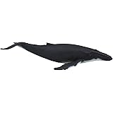 Amazon.com: MOJO Large Hump Back Whale Realistic International Wildlife ...