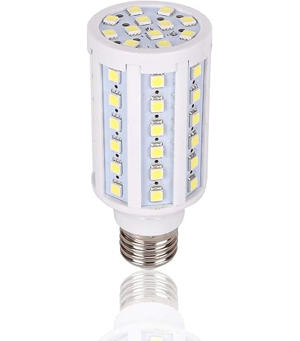 Low Voltage Bulb Socket