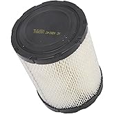 Amazon.com: ACDelco GM Original Equipment A3100C Air Filter : Automotive