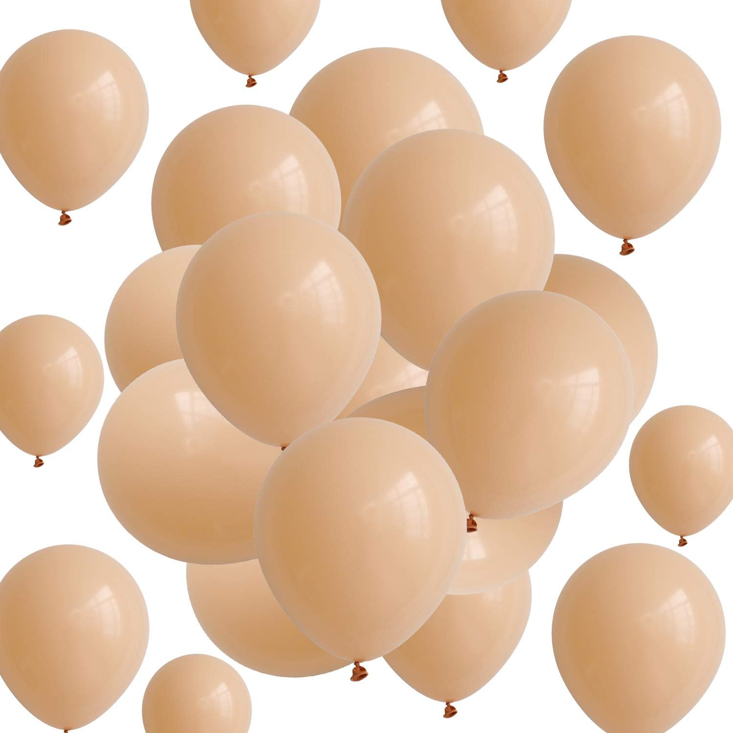 Amazon.com: Kubert Solid Ivory Cream Beige Balloons 10 Inch Latex 72 ...