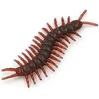 Amazon.com: Cooplay 20pcs Vintage Mock Fake Plastic Centipede ...