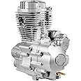 Amazon.com: 200CC/250CC ATV Dirt Bike Engine Motor,4 Stroke Single Cylinder Vertical,Single ...