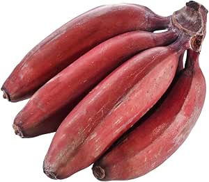 Amazon.com : 20 PCS Very Rare Red Banana Seeds, Outdoor Perennial ...