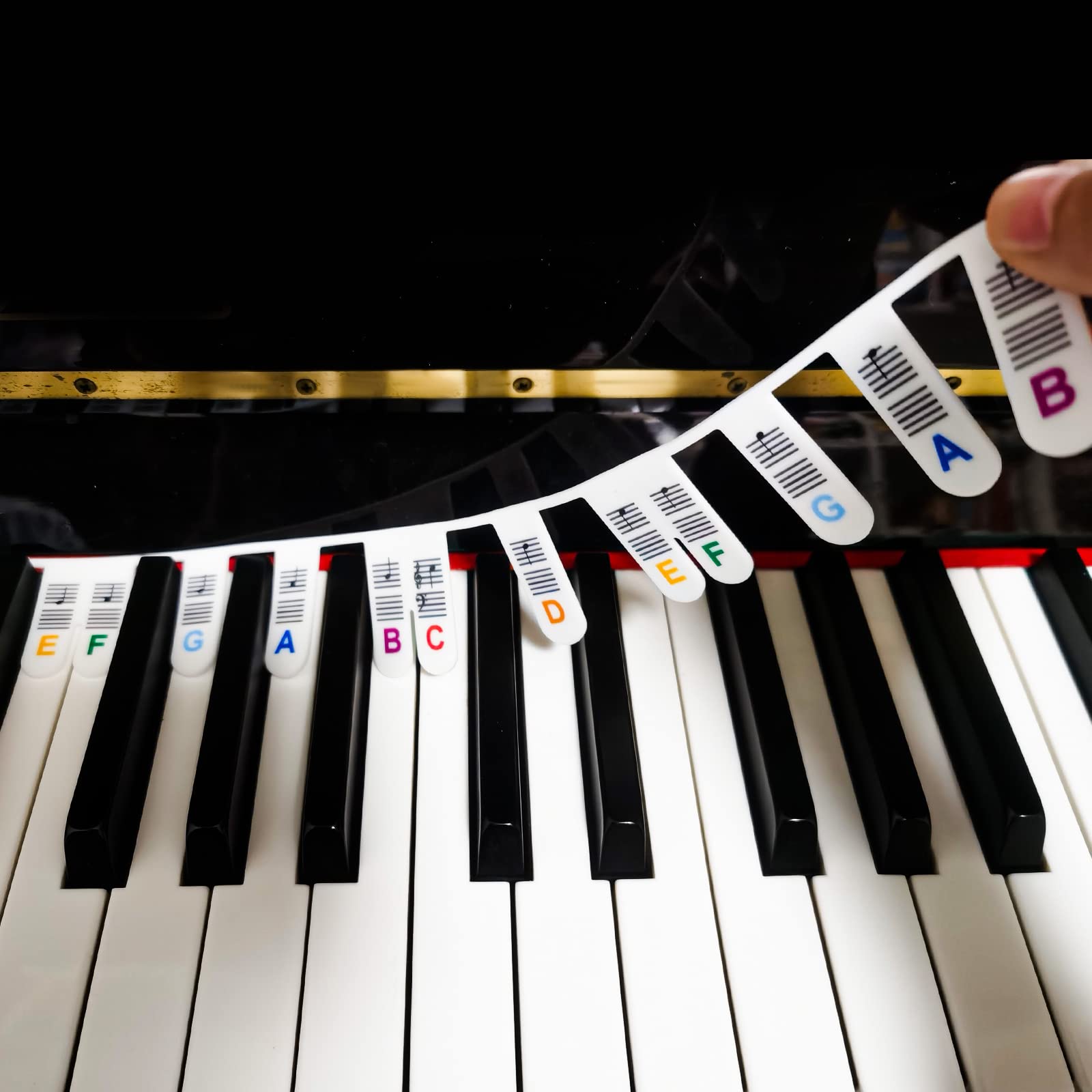 Mua Removable Piano Keyboard Note Labels, Piano Key Music Notes Letter ...