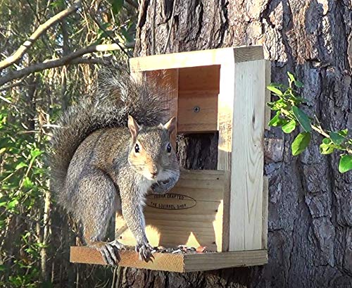 Classic Squirrel Feeder with Peanuts | Pricepulse