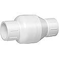 Homewerks VCK-P40-B8B VCKP40B8B in-Line Check Valve, 2 Inch, White ...