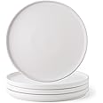 Amazon.com | AmorArc Ceramic Dinner Salad Plates Set of 4, 8.5 Inch ...