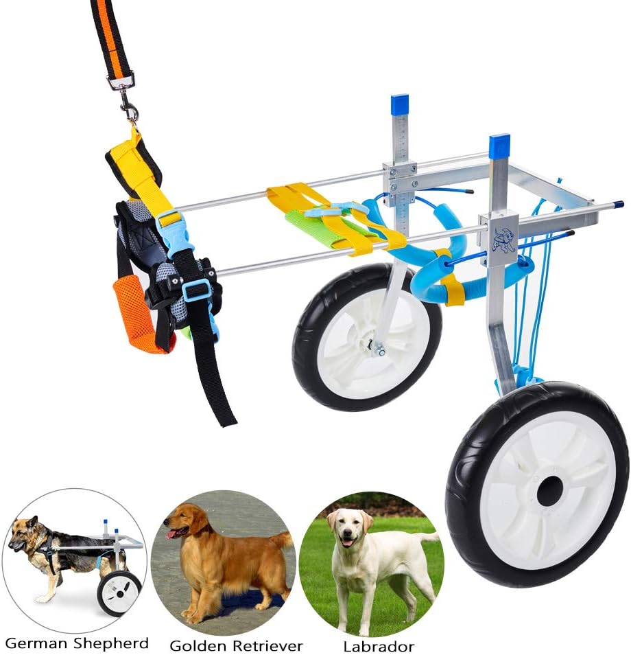 Amazon.com : HiHydro 6 Types Cart Pet Wheelchair for Handicapped Hind ...