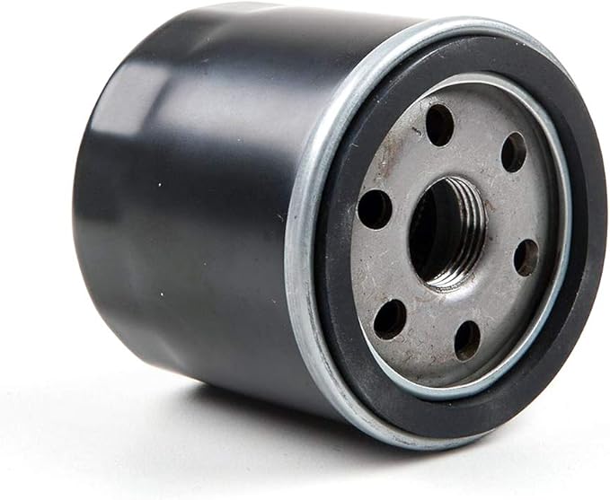 Amazon.com : CUB CADET MTD Engine Oil Filter Engines, Lawn Mowers ...