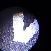 Amazon.com : Neewer 60X-100X Optical Zoom Mobile Phone LED Microscope ...