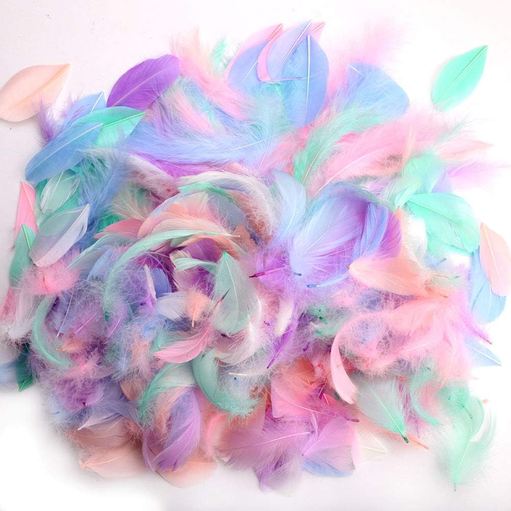 Feathers for Craft Art,300 Pcs Natural Goose Glitter Soft Native ...