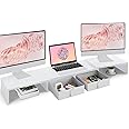 Amazon.com: TEAMIX Dual Monitor Stand Riser - Length and Angle ...