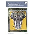Amazon.com: Violet Craft Abstractns Elephant Abstractions Quilt Ptrn ...