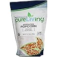 Amazon.com: Pure Living Organic SPROUTED Popcorn Kernels - 16 Ounce Bag ...