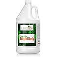 Amazon.com : Organic Kelp Fertilizer by GS Plant Foods - Omri Listed(1 Gallon) - Liquid Kelp ...