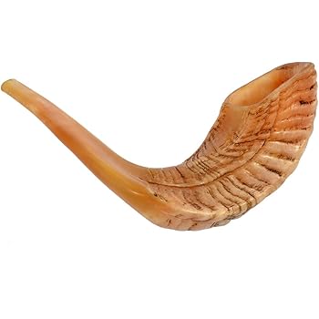 Amazon.com: Shofar Kosher Rams Horn Polished Natural Chofar Showfar ...