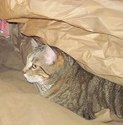 Amazon.com : Cosmic Alpine Scratcher : Scratching Pads : Pet Supplies