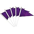 Amazon.com : 25 Pack Purple Pennant Flags Small Mini Hand Held Solid ...