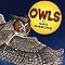 Owls: Gail Gibbons: 9780823420148: Amazon.com: Books