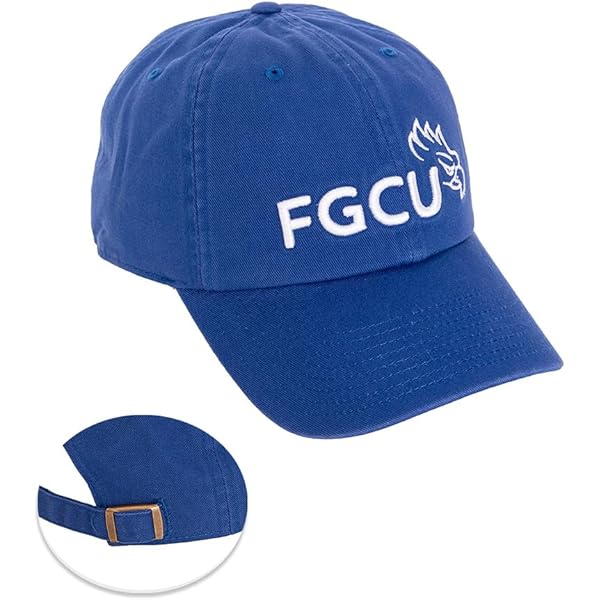 Uconn Pennant Central Connecticut State University CCSU Flag - 3x5 Feet ...