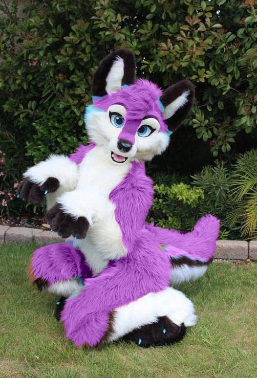 Mua Purple Cute Husky Cat Fursuit Fullsuit Teen Costumes Full Furry