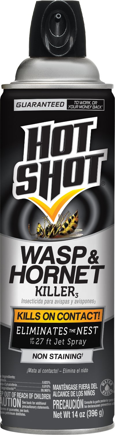Mua Hot Shot Wasp & Hornet Killer Spray, For Insects Eliminates The ...