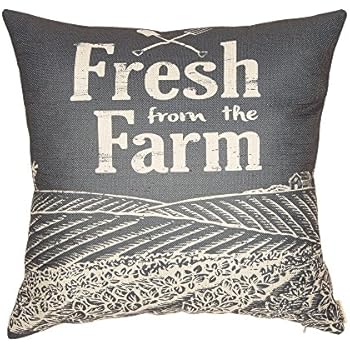 Amazon.com: LINKWELL 18x18 inches Vintage Farmhouse Farm Sweet Farm ...