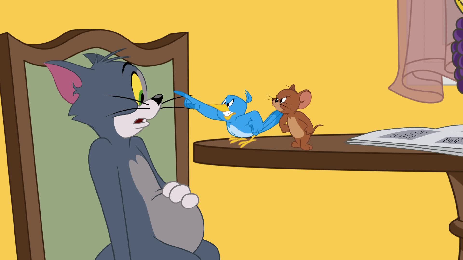 Watch The Tom & Jerry Show - Season 7 | Prime Video
