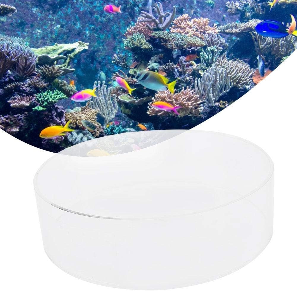 Pssopp Coral Viewer Fish Tank Acrylic Coral Observe Lense Aquarium Fish ...