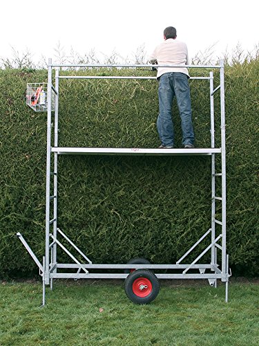 Garden Platform Ladders | Fasci Garden