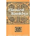 Classical Samkhya: An Interpretation of its History and Meaning: Gerald ...