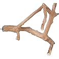 Amazon.com : A&E Cage Co. Java Wood Multi Branch Perch - Small - 16 in ...