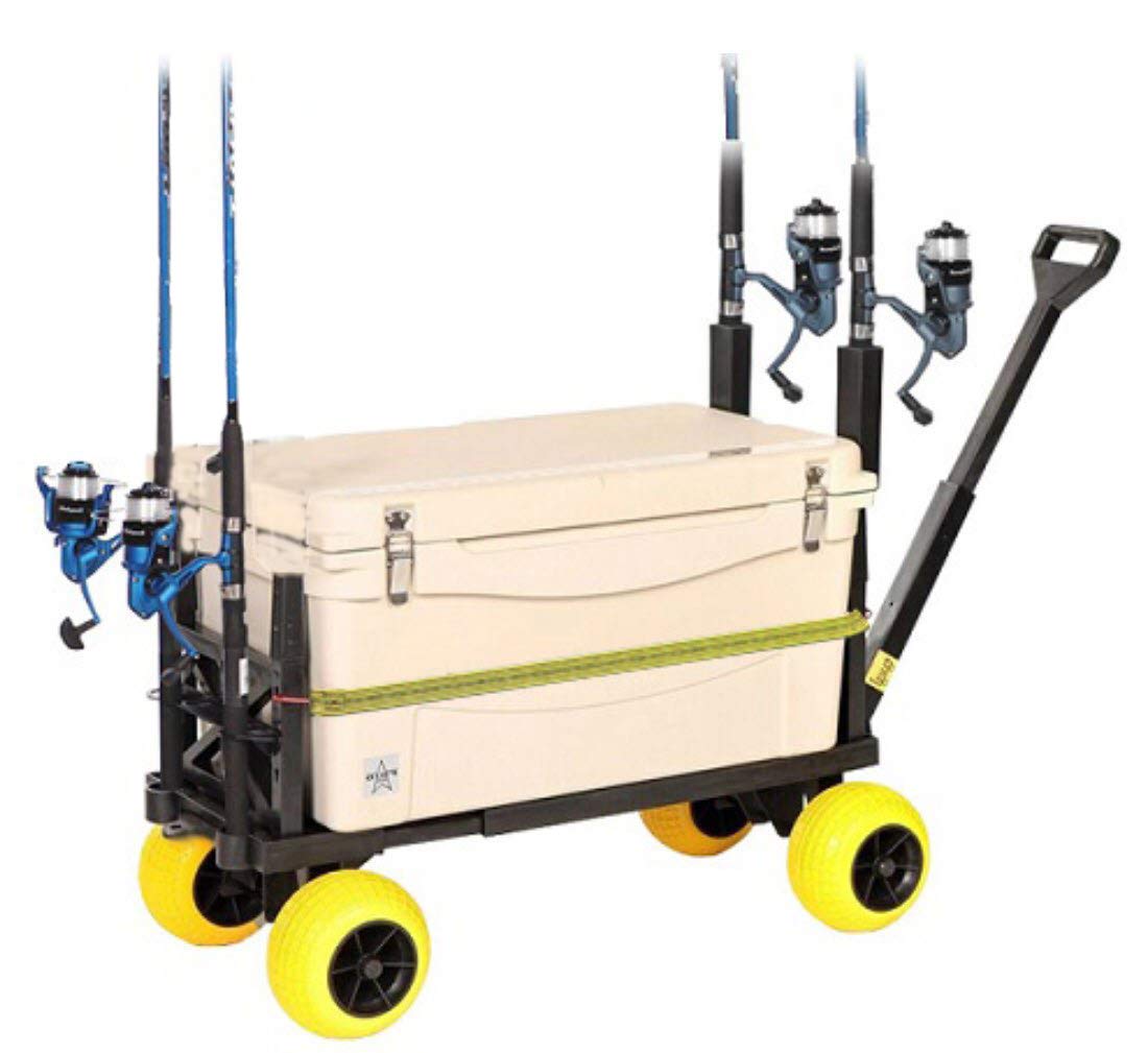 Pier Surf Carts at Shantell Wilkinson blog