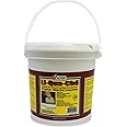 Amazon.com: Activa Li-Qua-Che Pourable Paper Mache 1 Gallon Casting ...