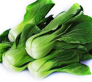 Amazon.com : SeedHao from Buyincn Chinese Asian Vegetable Green Baby ...
