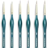 Amazon.com: MEEDEN 6PCS Micro Paint Brushes Set, Fine Round Pointed ...
