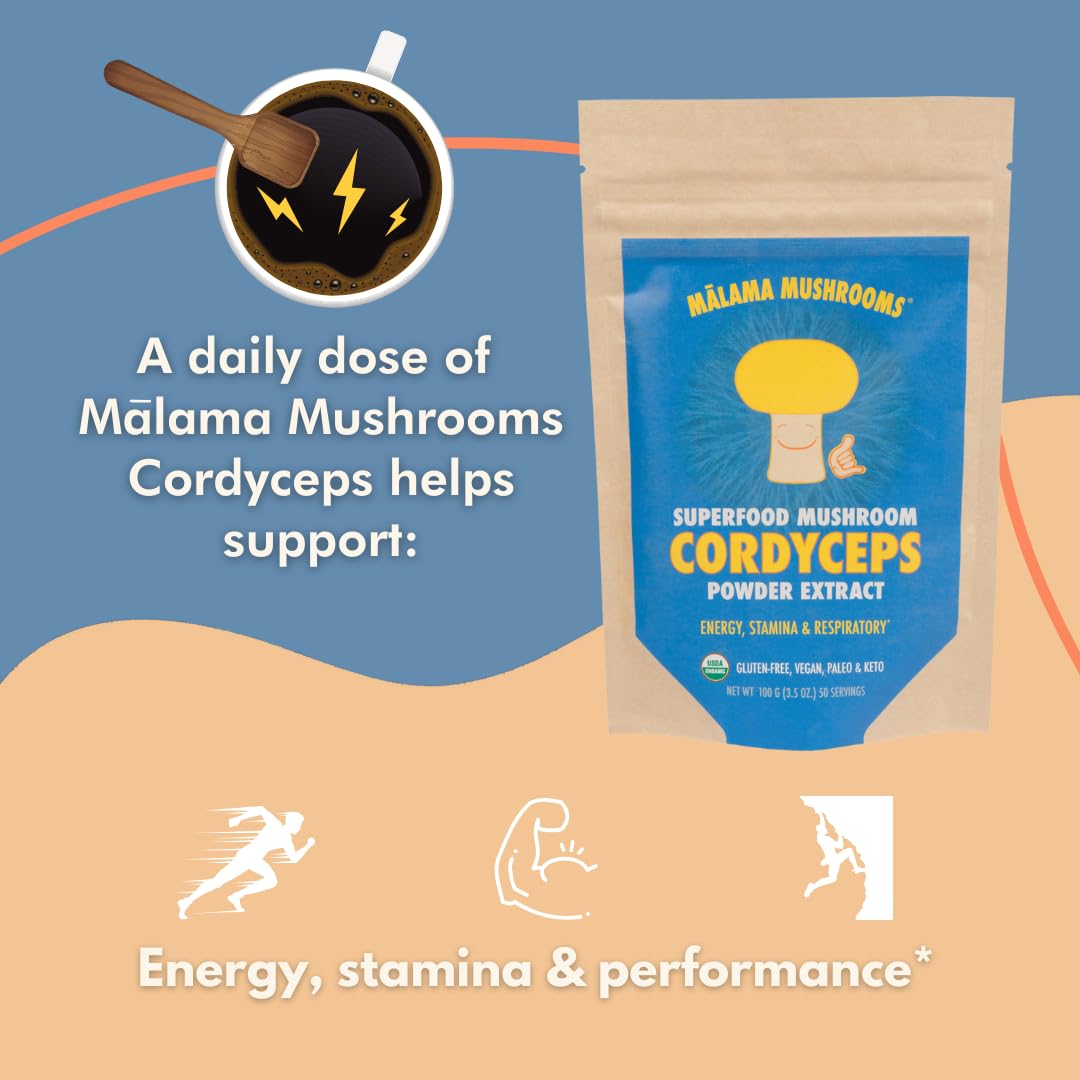 Mua Cordyceps Extract Powder by Malama, Organic Fruiting Body Cordyceps ...