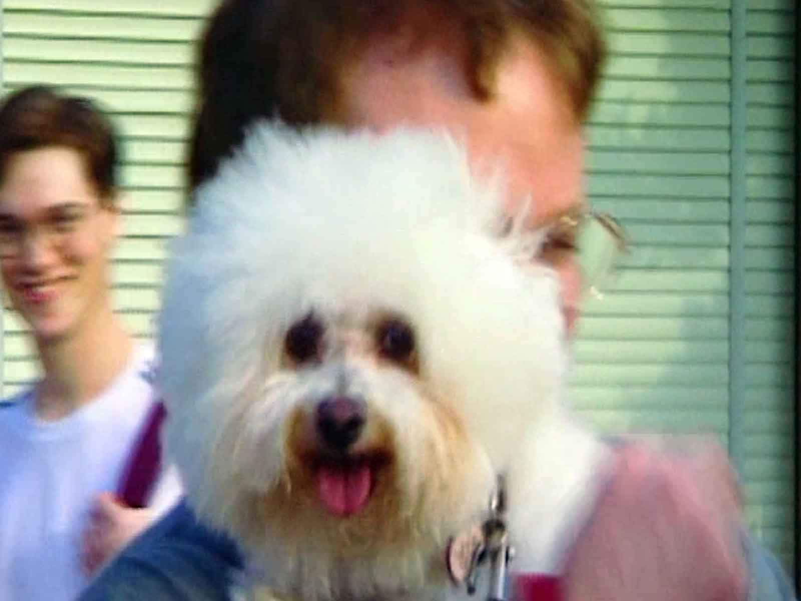 Watch Animal Miracles | Prime Video