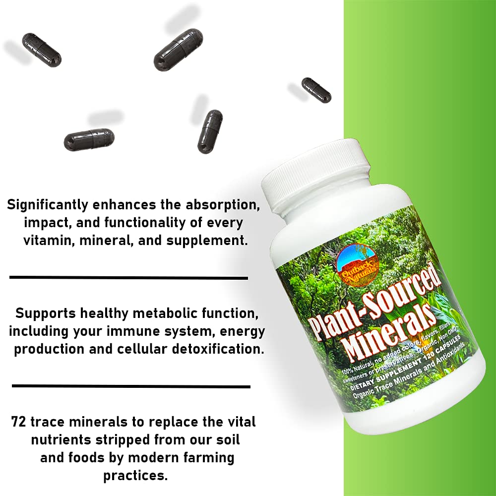 Mua Organic Fulvic Humic Minerals Blend Supplement - High Absorption ...