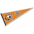 Amazon.com : College Flags & Banners Co. RIT Tigers Pennant : Sports ...