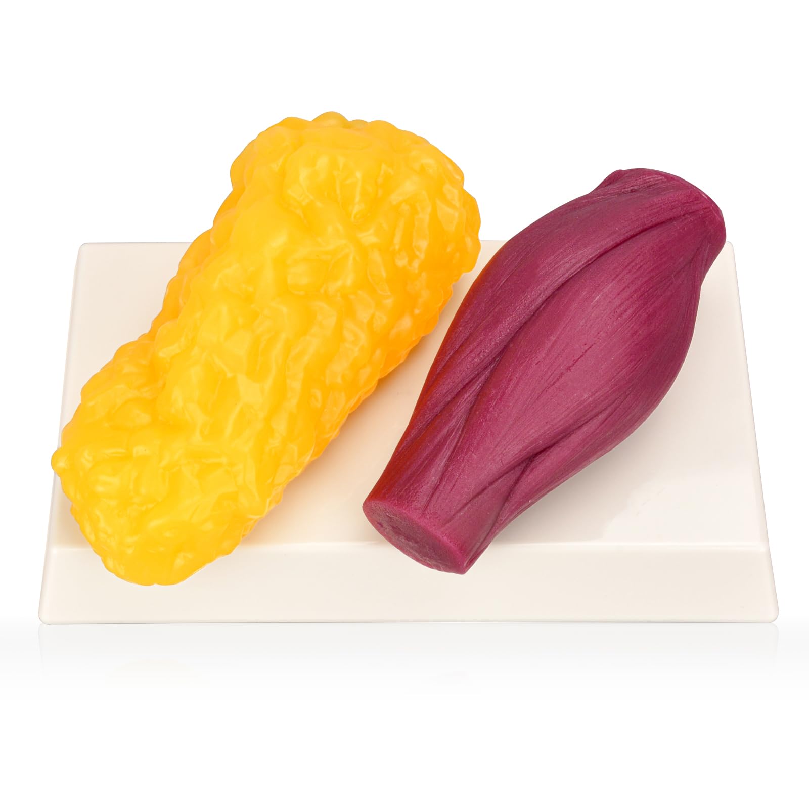 Human Body Muscle & Fat Replica 1lb with Display Base, Silicone ...