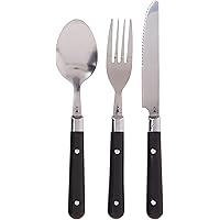 Amazon.com: Coleman Stainless Steel Flatware Set with Plastic Handles ...