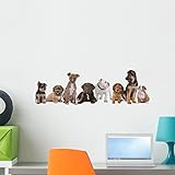 Wallmonkeys Corals with Shells and Wall Decal Sticker Set Individual ...