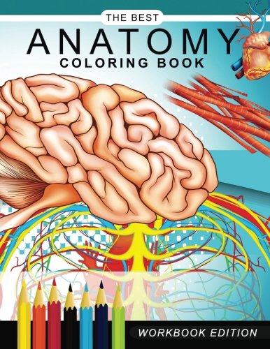 Amazon.com: Anatomy coloring book: Muscles and Physiology Workbook ...