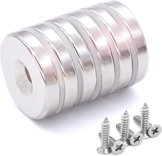 6 pezzi Magnete al Neodimio, 25x5mm, con 6 viti, Magneti al Neodimio Ad ...