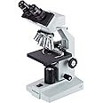 Amazon.com: AmScope B100B-MS Compound Binocular Microscope, 40X-2000X Magnification, Brightfield ...