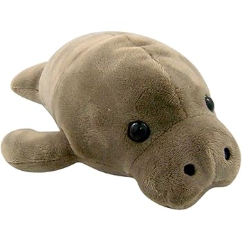 Amazon.com: Canned Critters Stuffed Animal: Coyote 6": Toys & Games