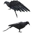 Amazon.com: LWINGFLYER 2pcs Realistic Crows Lifesize Extra Large ...